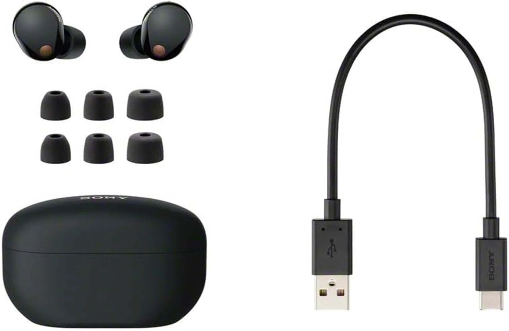 Беспроводные наушники Sony WF-1000XM5, черный WF-1000XM5/BC — купить по ...