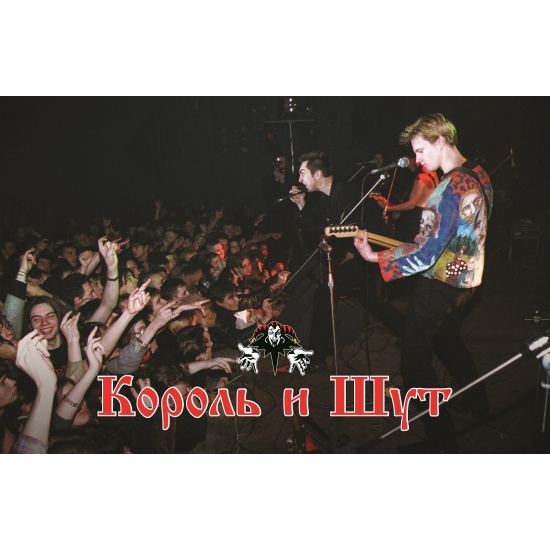 Купить виниловая пластинка Король и Шут - Камнем По Голове (LP+постер ...