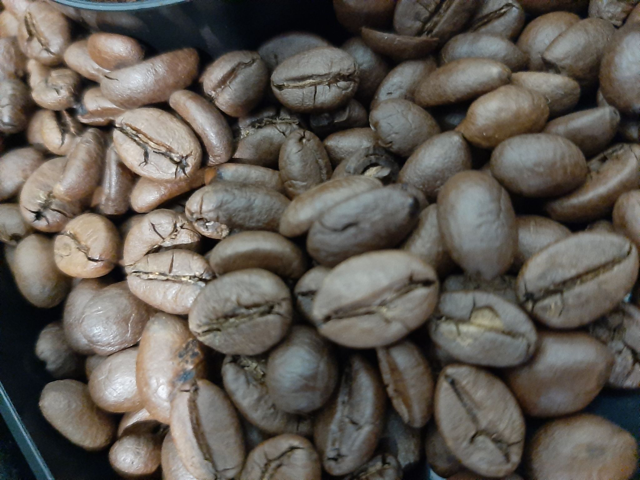 Кофе в зернах Piazza Del Caffe Espresso Forte, 1 кг, промышленная ...