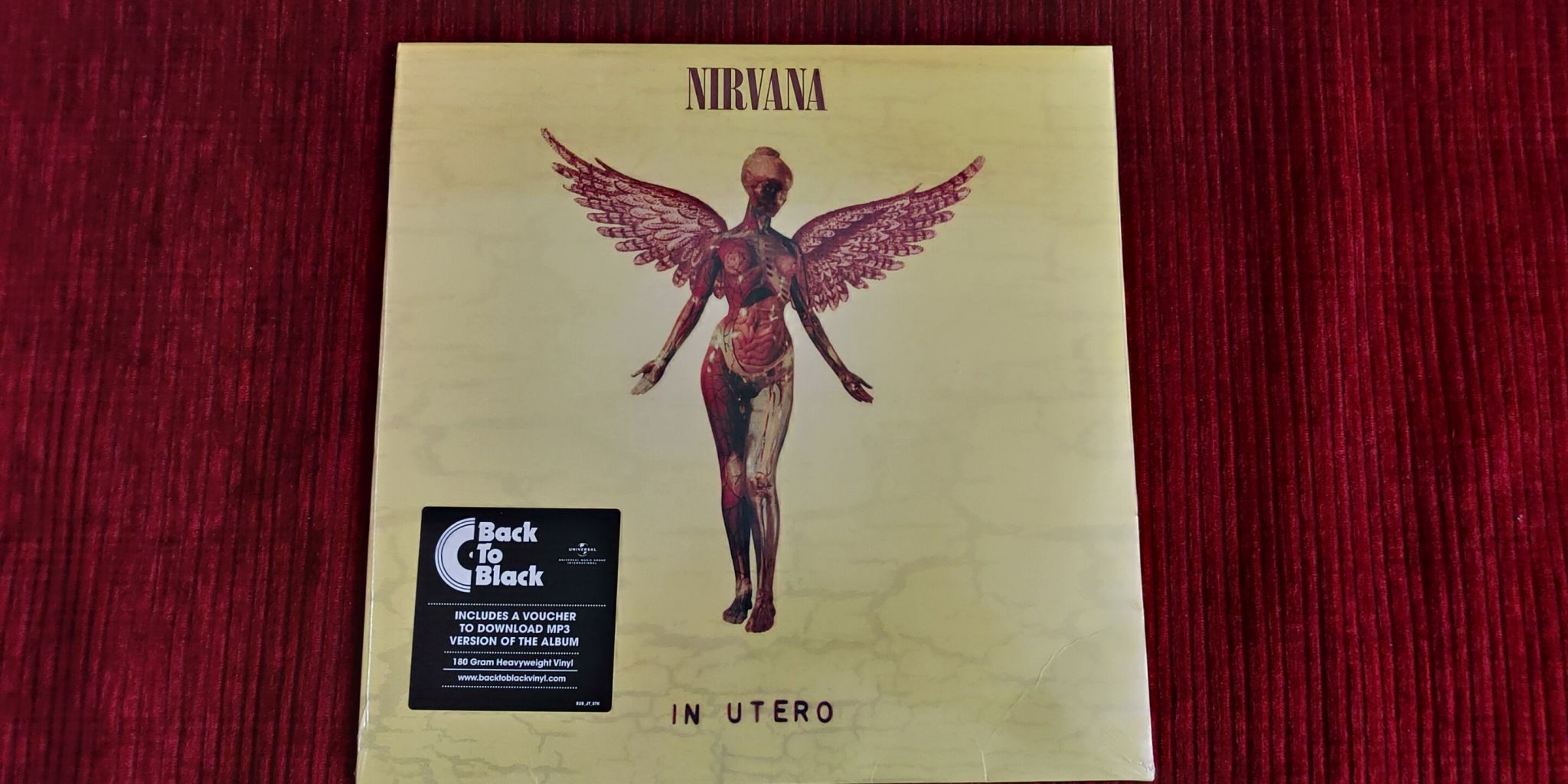 Виниловая пластинка NIRVANA - In Utero — купить в интернет-магазине ...