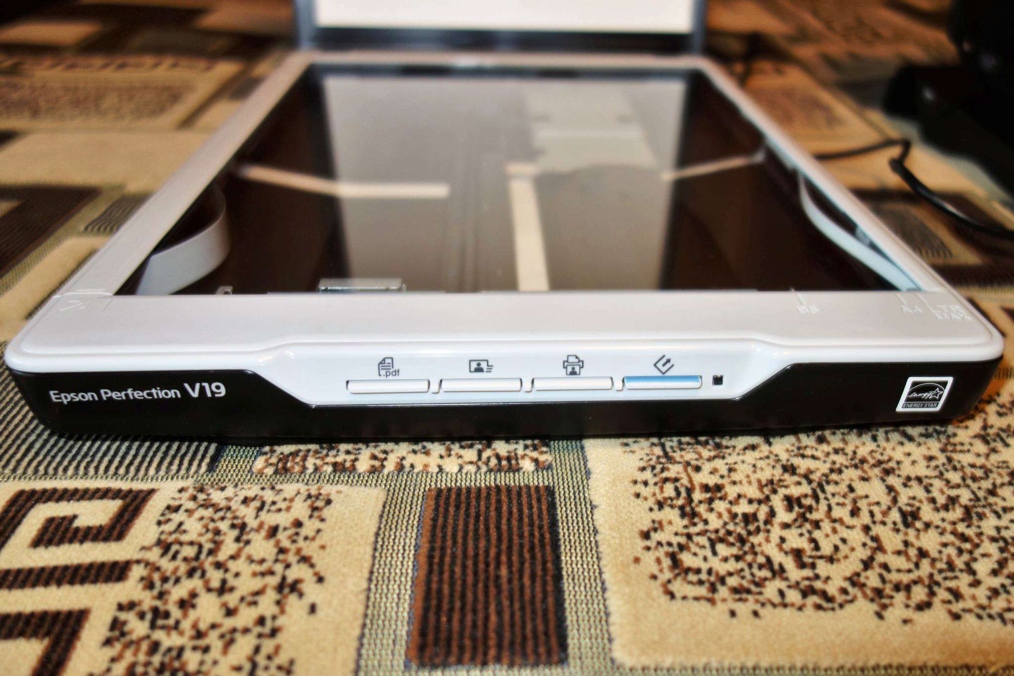 Сканер EPSON Perfection V19 B11B231401 — купить в интернет-магазине ...