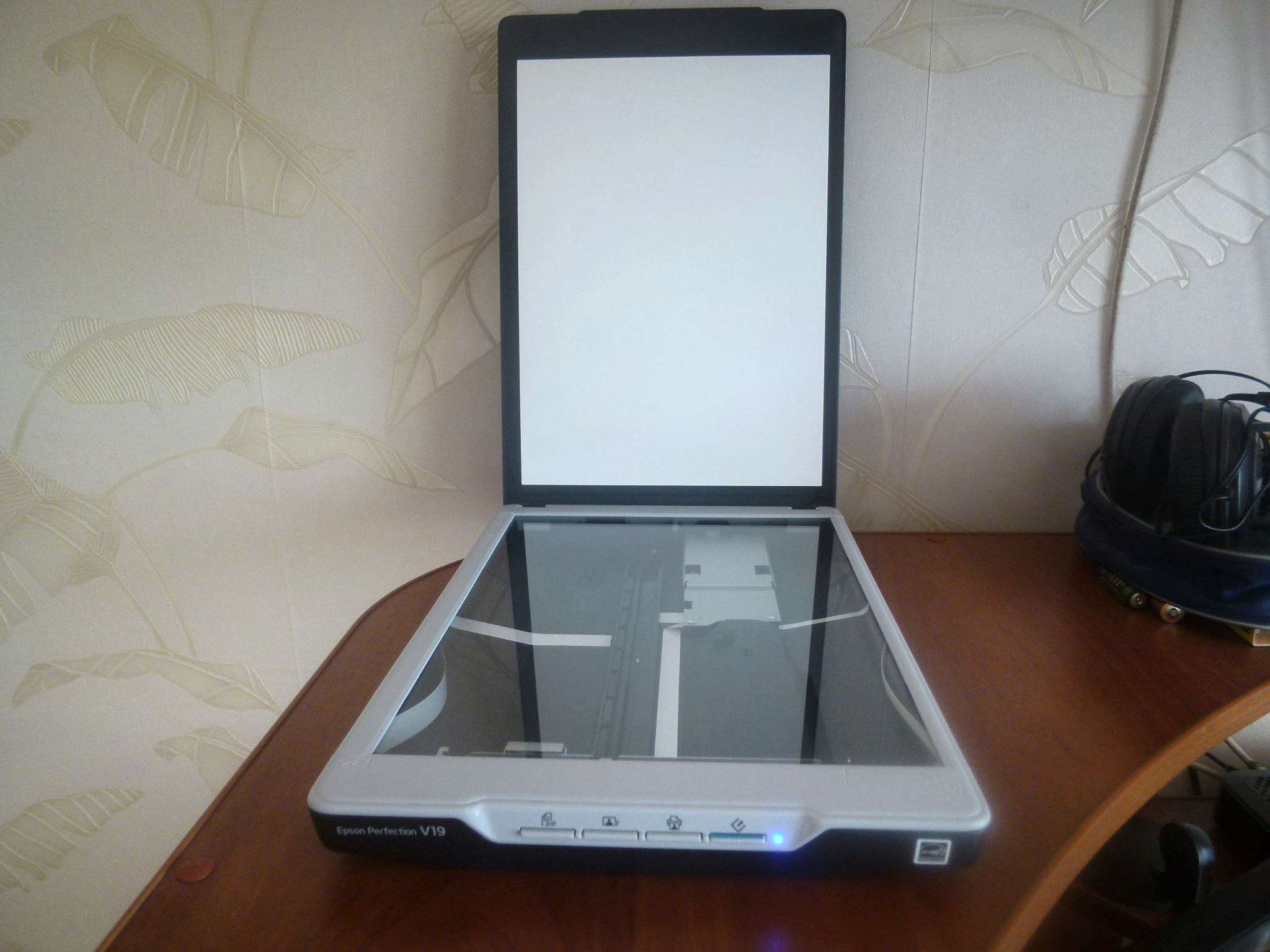 Сканер EPSON Perfection V19 B11B231401 — купить в интернет-магазине ...